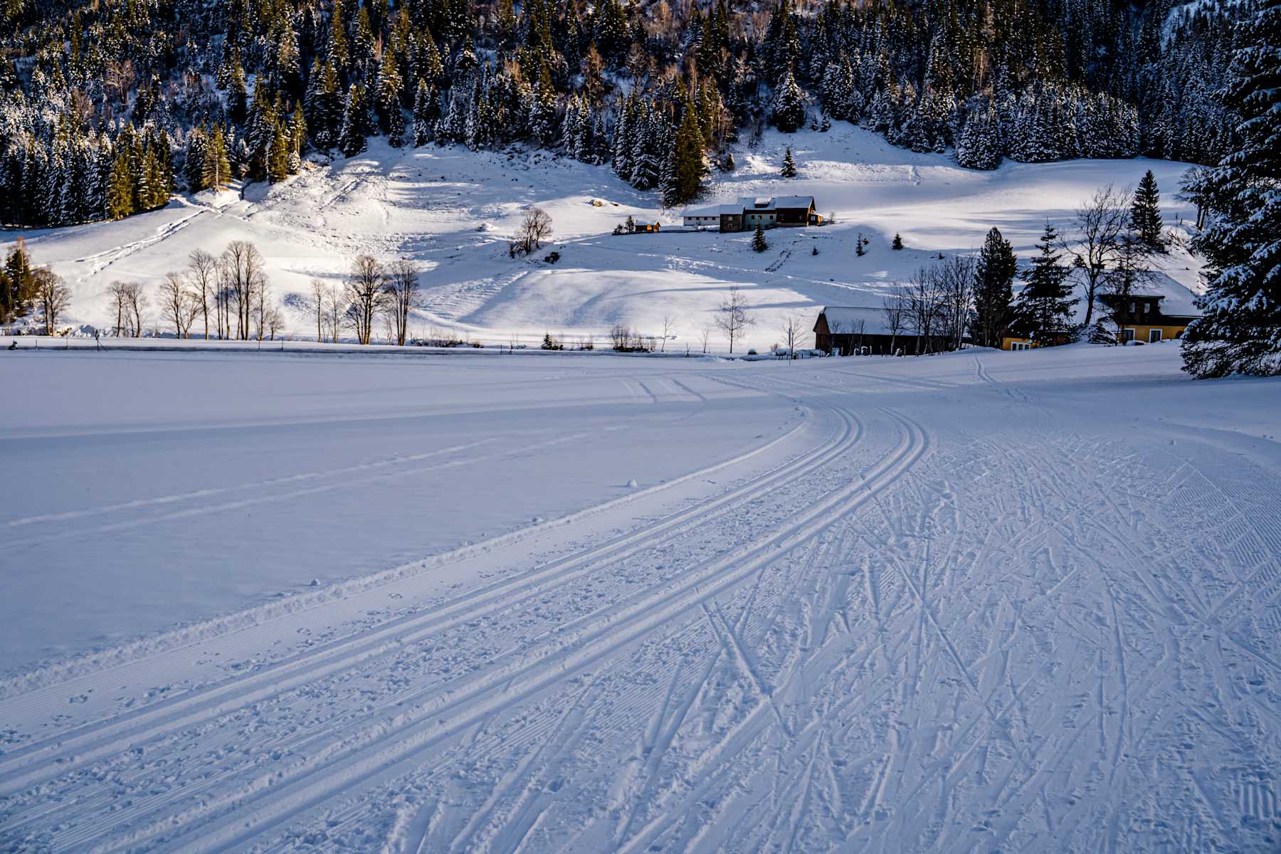 Langlaufen: Loipe Hinterwald - 1:45 h - 9 km - Bergwelten