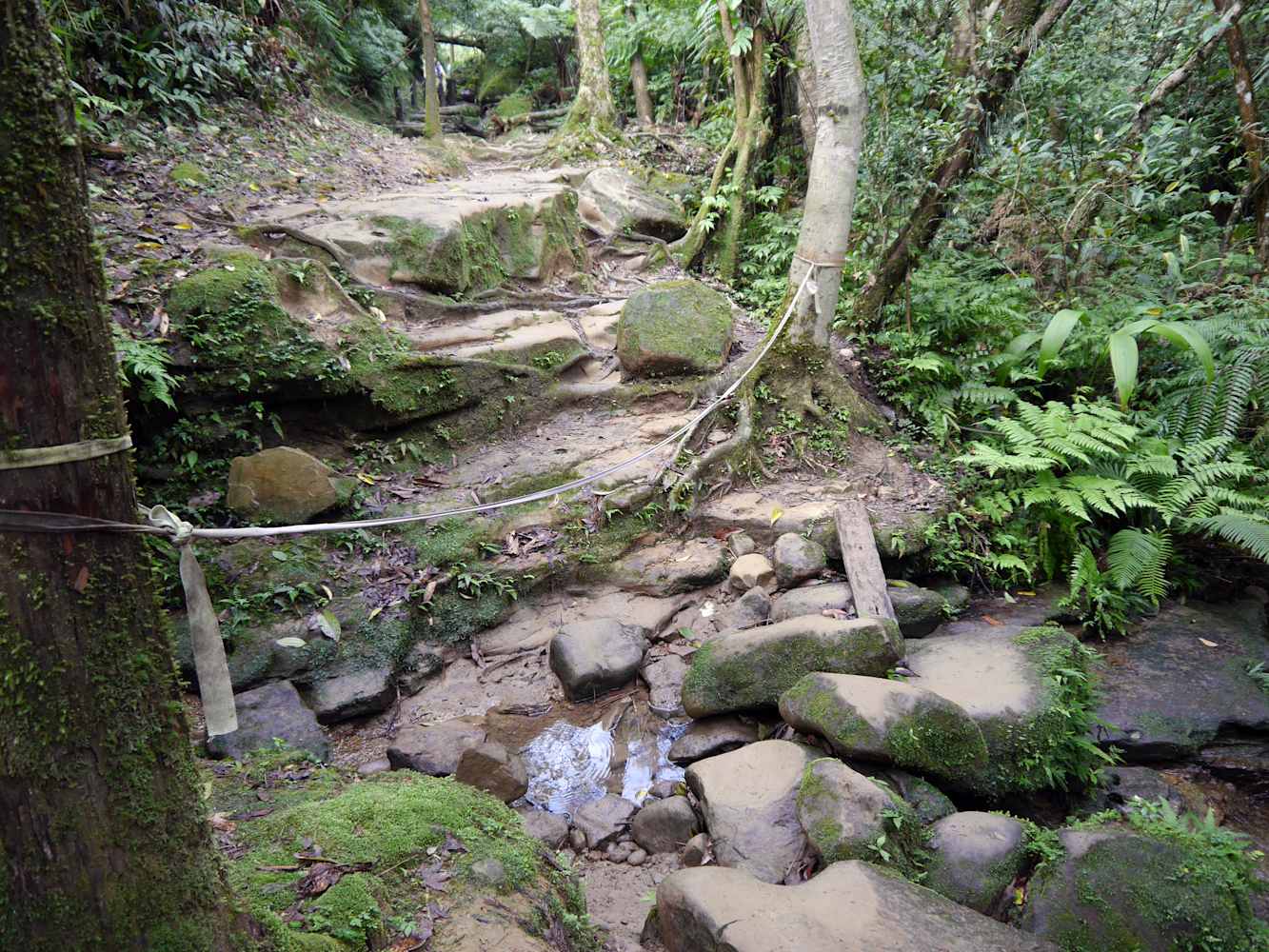 Reise: Taiwan – Am Sandiaoling Waterfall Trail - Bergwelten
