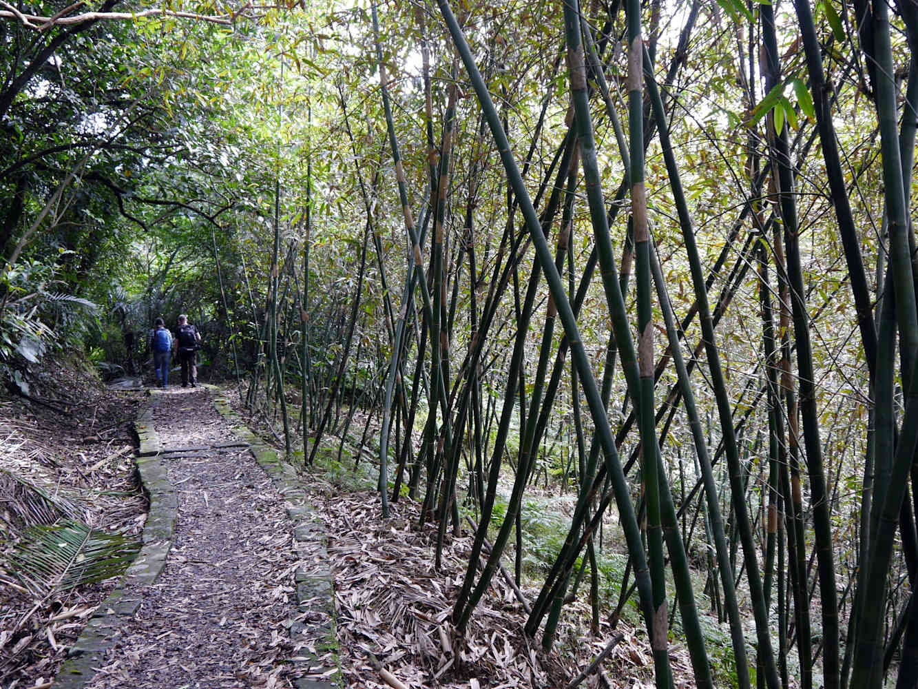 Reise: Taiwan – Am Sandiaoling Waterfall Trail - Bergwelten
