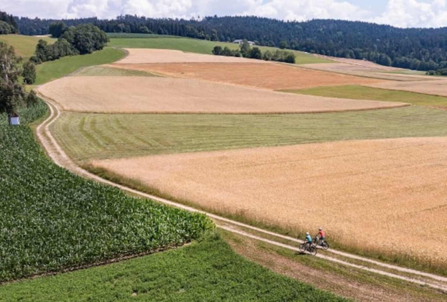 Grande Granit Runde im Mühlviertel - Bergwelten