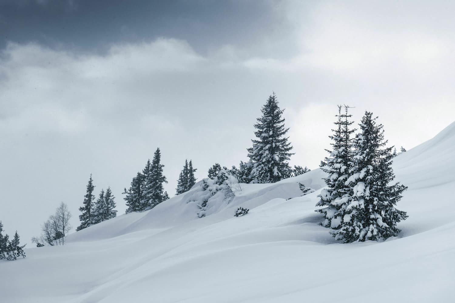 Schneesüchtig - Winter in den Alpen - Bergwelten