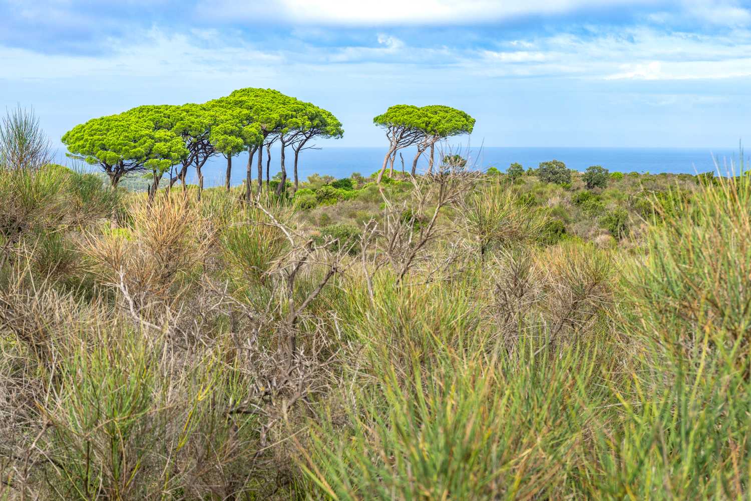 Reise: Weitwandern an der spanischen Costa Brava - Bergwelten