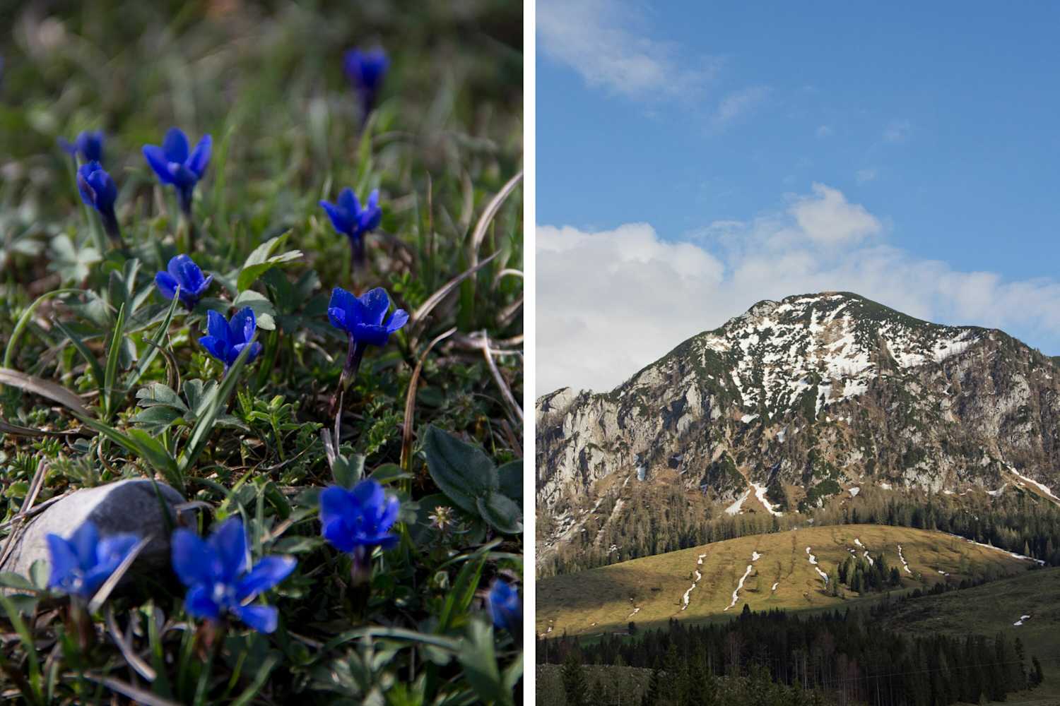 Mit den Makemakes auf der Postalm - Bergwelten