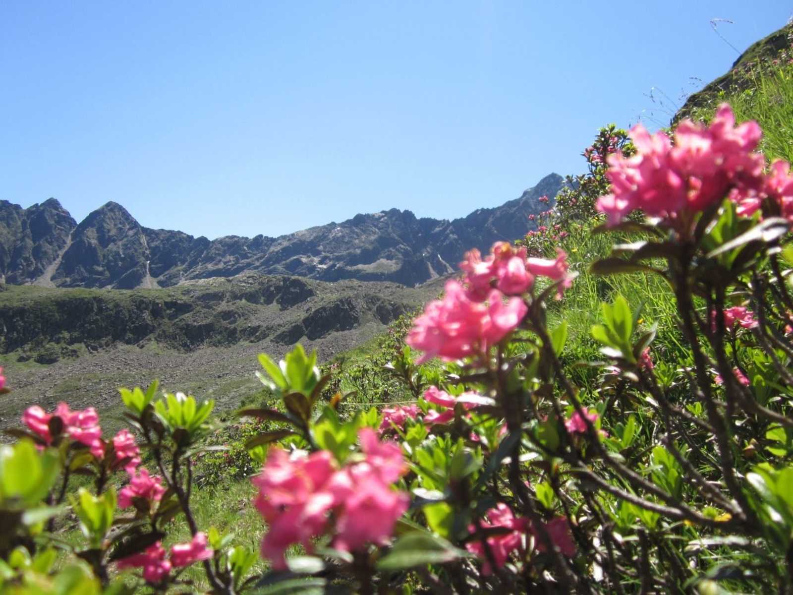Wandern: 4-See-Wanderung – Plattach-, Weißen-, Spitzig-und Hauersee - 7 ...