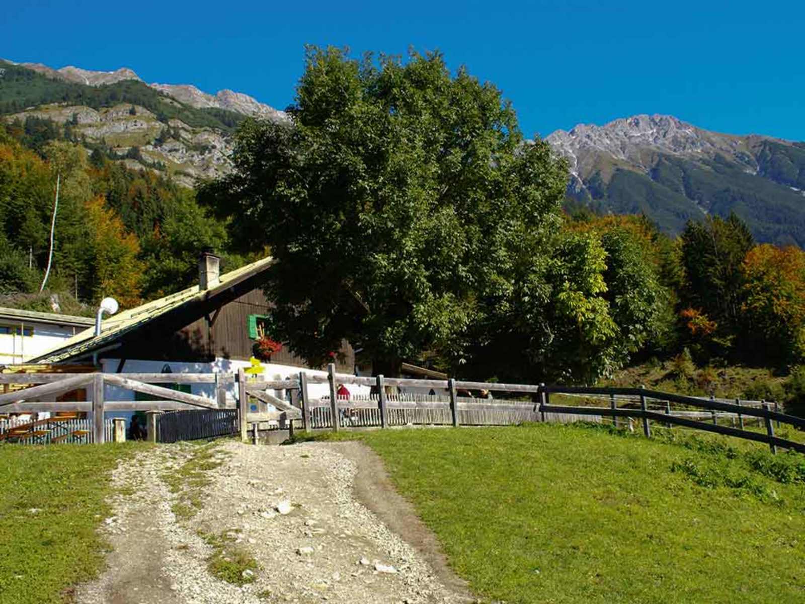 Wandern: Arzler Alm - Rumer Alm - Enzian Hütte - 5:00 h - 8 km - Bergwelten