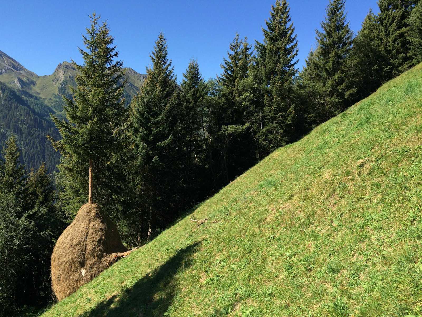 Wandern: Aus dem Valsertal auf die Geraerhütte - 2:30 h - 6 km - Bergwelten