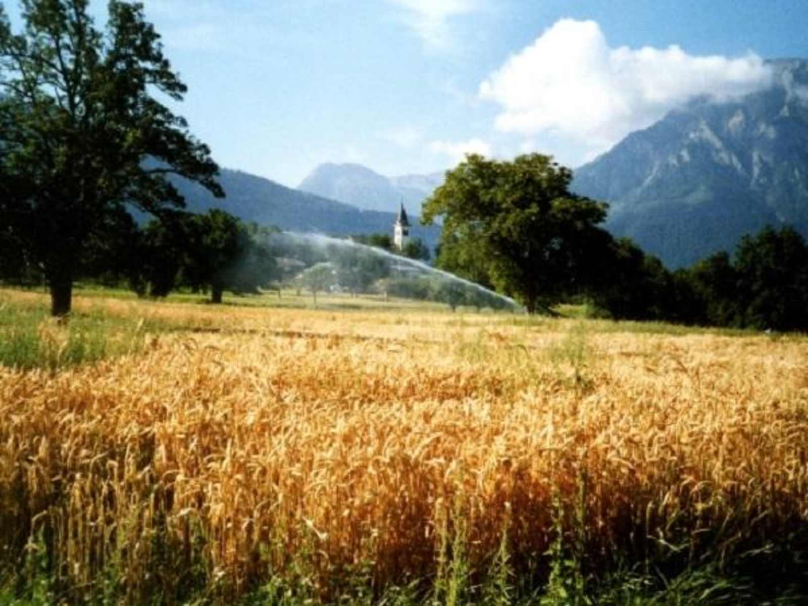 Wandern: Erlebnispfad Berglandwirtschaft Termen - 3:00 h - 11 km ...
