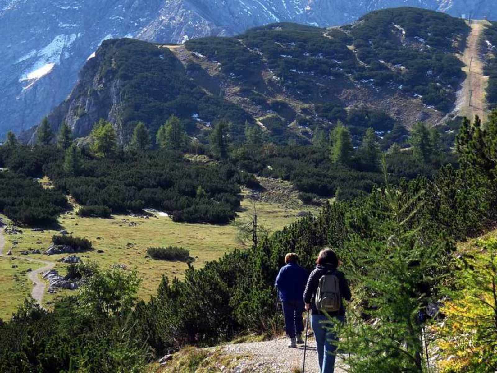 Wandern: Höss-Runde (RundWanderWelt Hinterstoder) - 0:45 h - 2 km ...