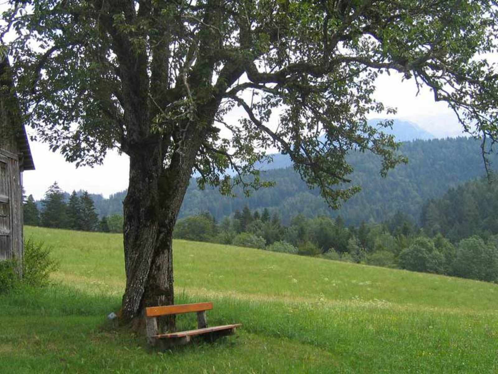 Wandern: Mostbauern-Runde (RundWanderWelt Hinterstoder) - 3:45 h - 11 ...