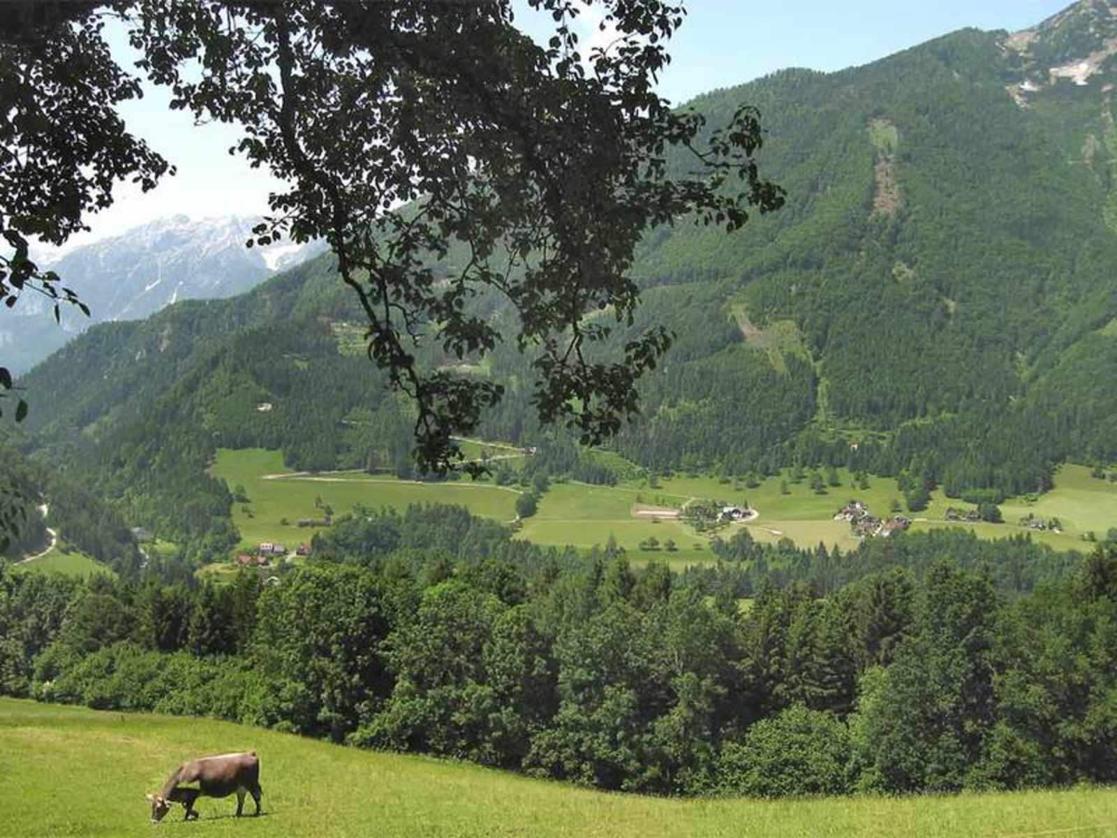 Wandern: Mostbauern-Runde (RundWanderWelt Hinterstoder) - 3:45 h - 11 ...