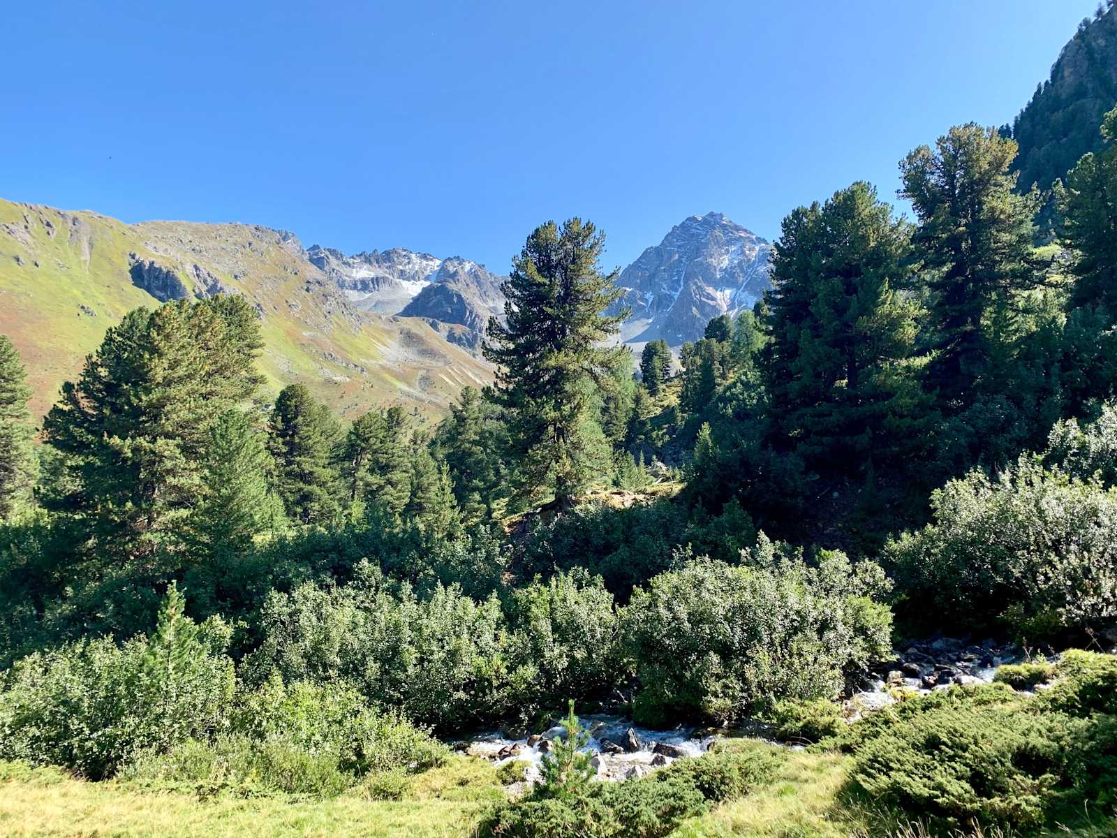 Wandern: Parc Ela Trek - Etappe 10: Chamona d'Ela - F. da Tschitta ...