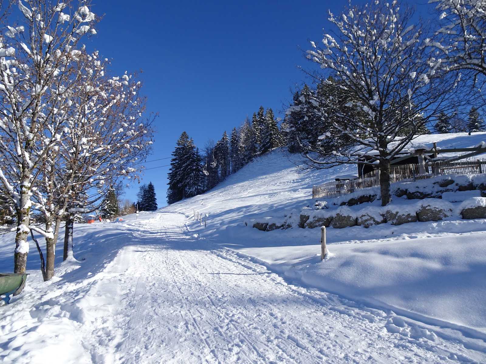 Skitouren: Von Immenstadt auf den Mittag - 2:00 h - 7 km - Bergwelten