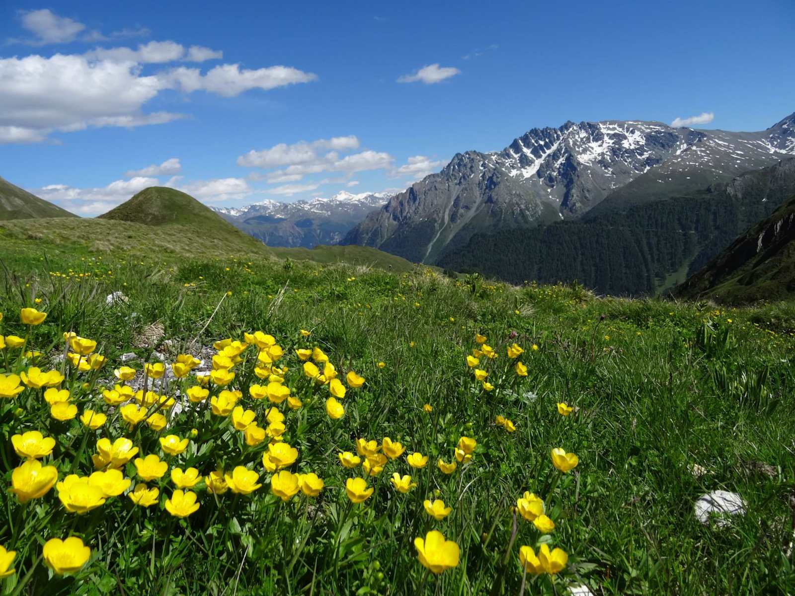 Mountainbike: Rundtour zur Alp Trida und Alp Bella - 2:00 h - 12 km ...