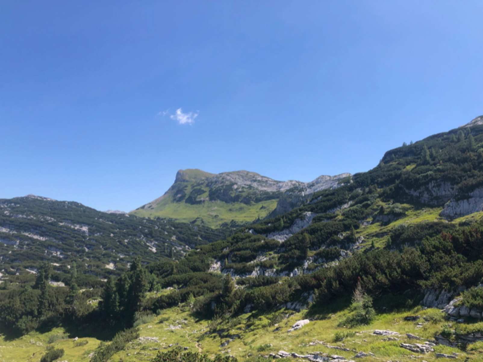 Wandern: Welser Höhenweg - Welser Variante, Etappe 3: Von der Pühringer ...