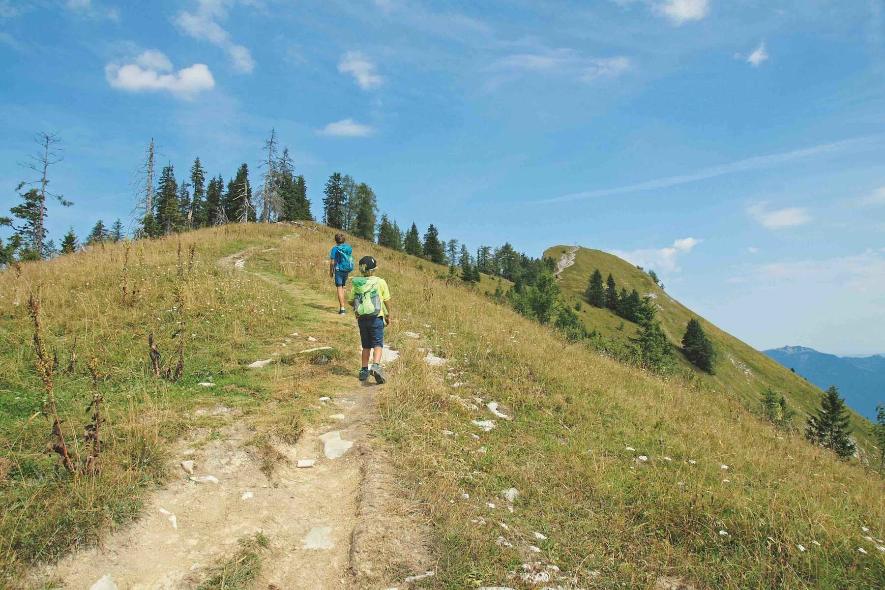 Wandern: Postalm - Auf das Wieslerhorn - 3:00 h - 9 km - Bergwelten