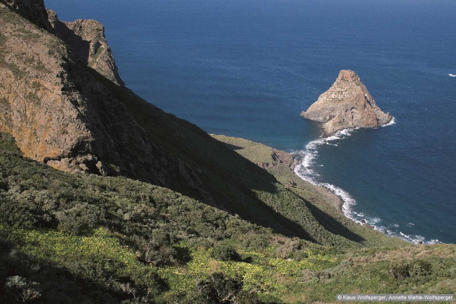 Wandern: Montaña Tafada - 2:20 h - 6 km - Bergwelten