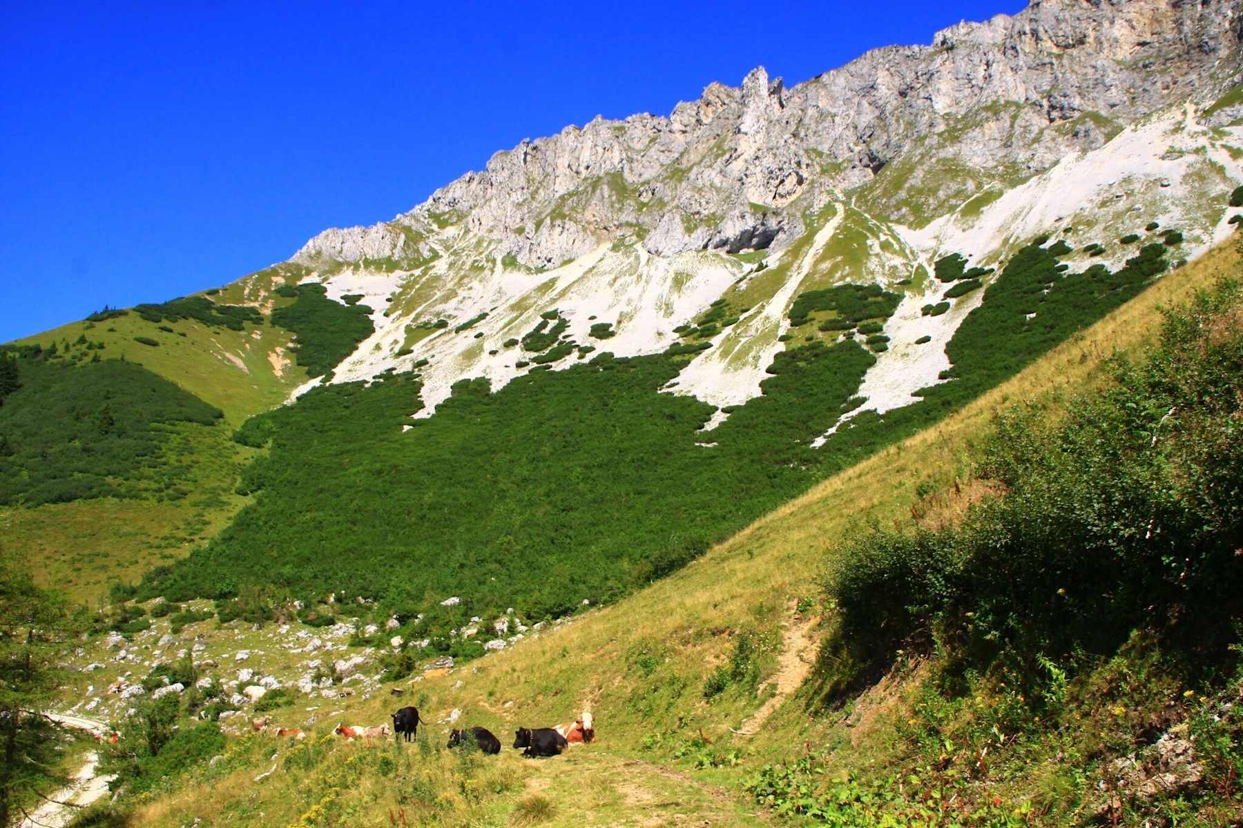 Wandern: Auf die Hohe Veitsch von der Brunnalm - 3:30 h - 7 km - Bergwelten