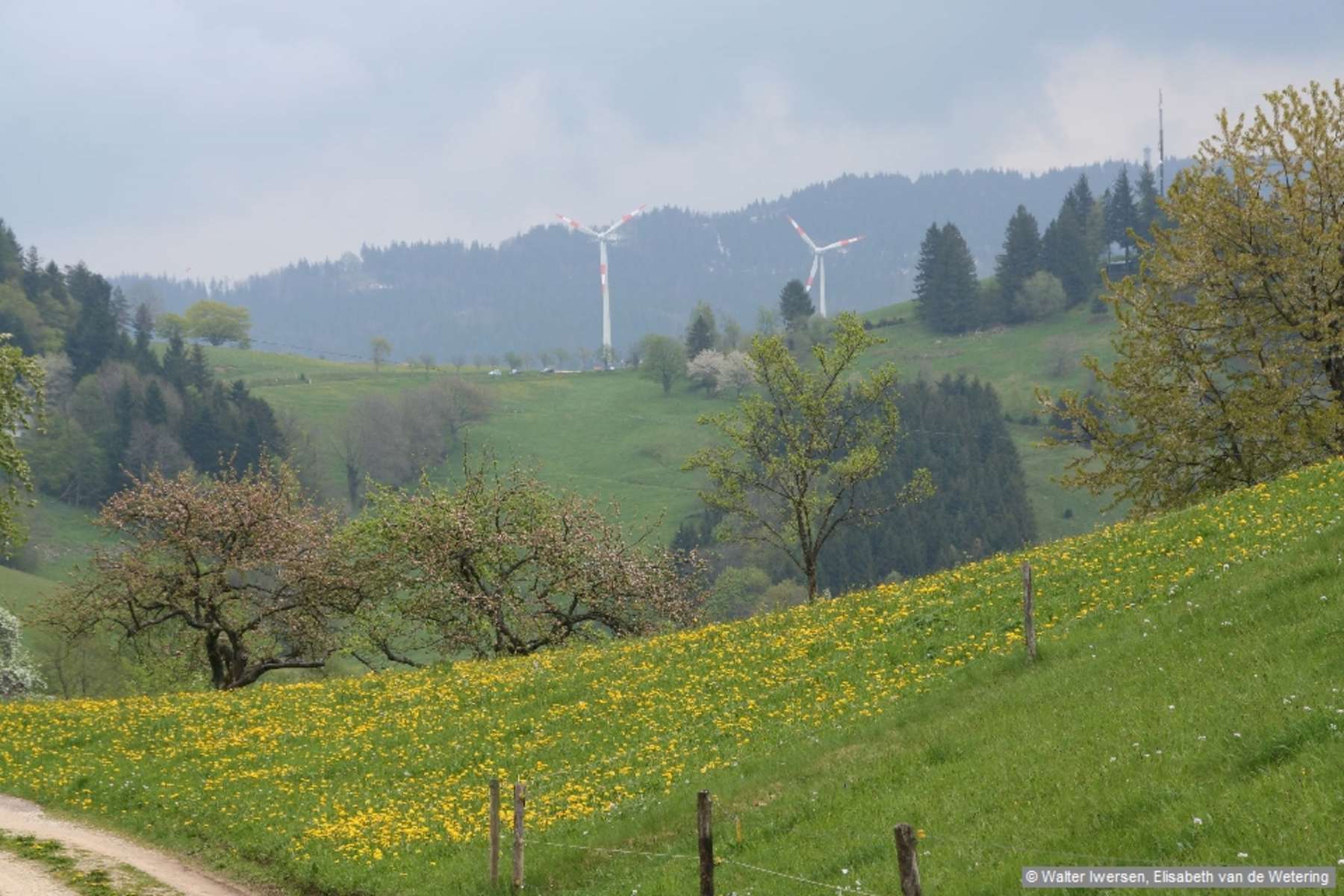 Wandern: Von St. Ulrich zur Eduardshöhe - 2:45 h - 8 km - Bergwelten