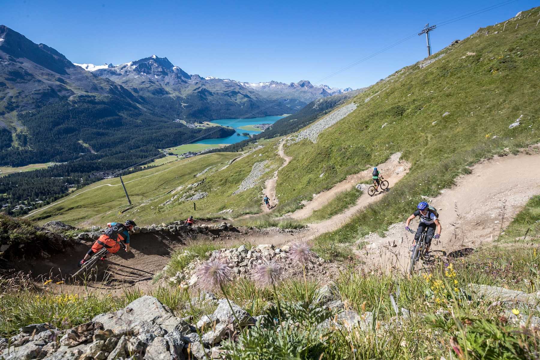 Mountainbike: Flow Trail Safari blau - 3:15 h - 16 km - Bergwelten