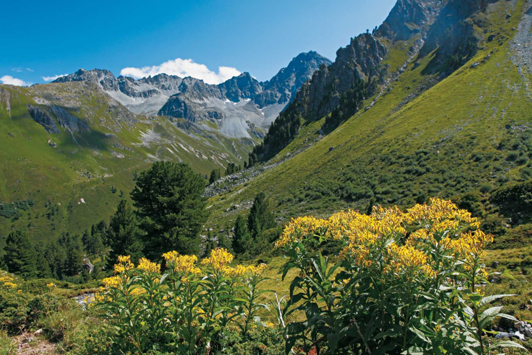 Wandern: Rund um den Piz Ela - 9:00 h - 24 km - Bergwelten