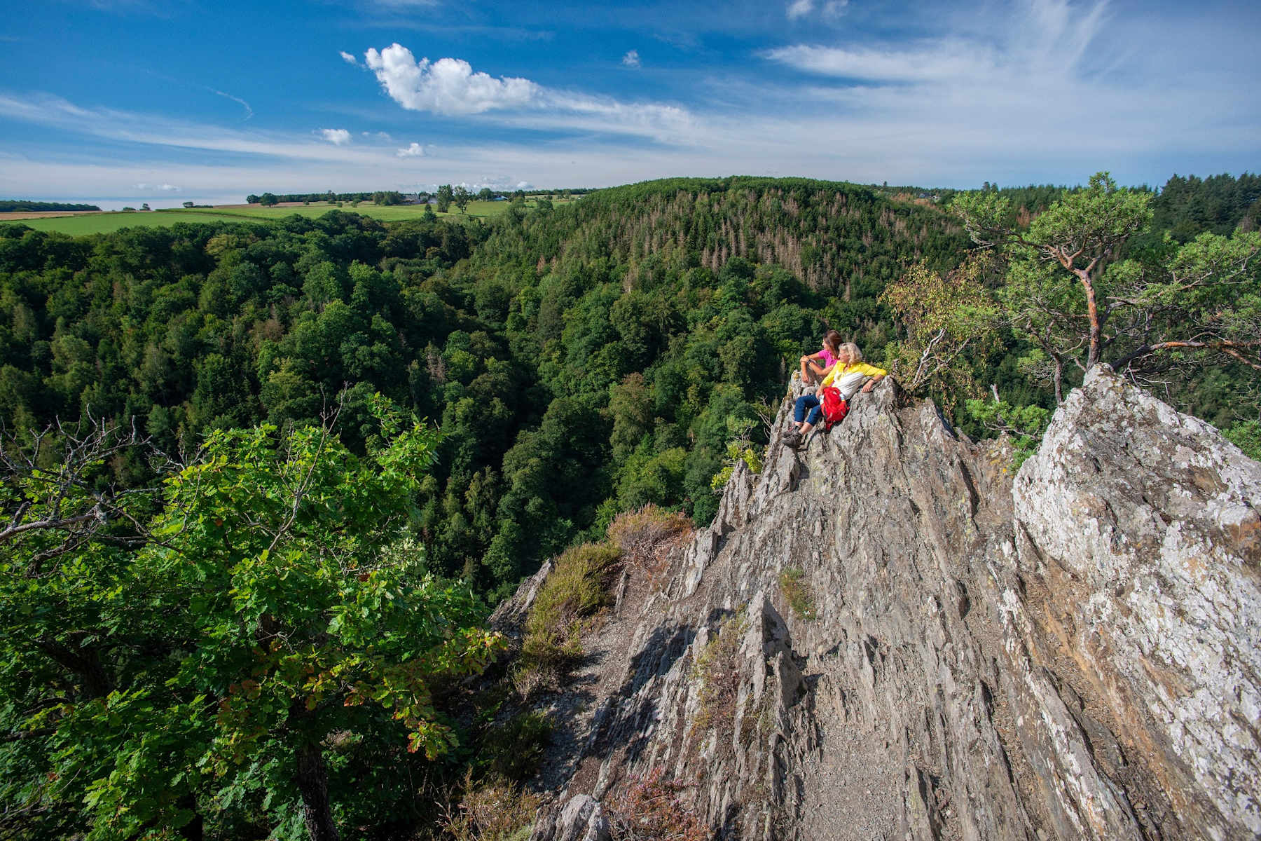 Wandern: Saar-Hunsrück-Steig - Etappe 18: Von Altlay nach Blankenrath ...