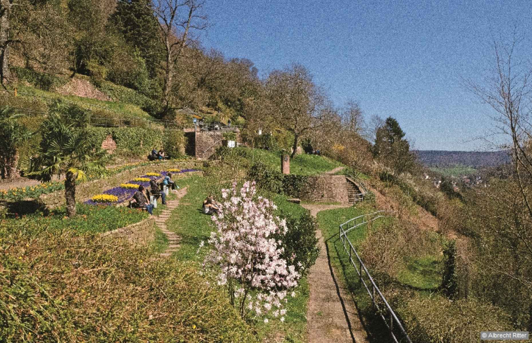 Wandern: Vom Philosophenweg zum Schloss Heidelberg - 3:00 h - 9 km ...