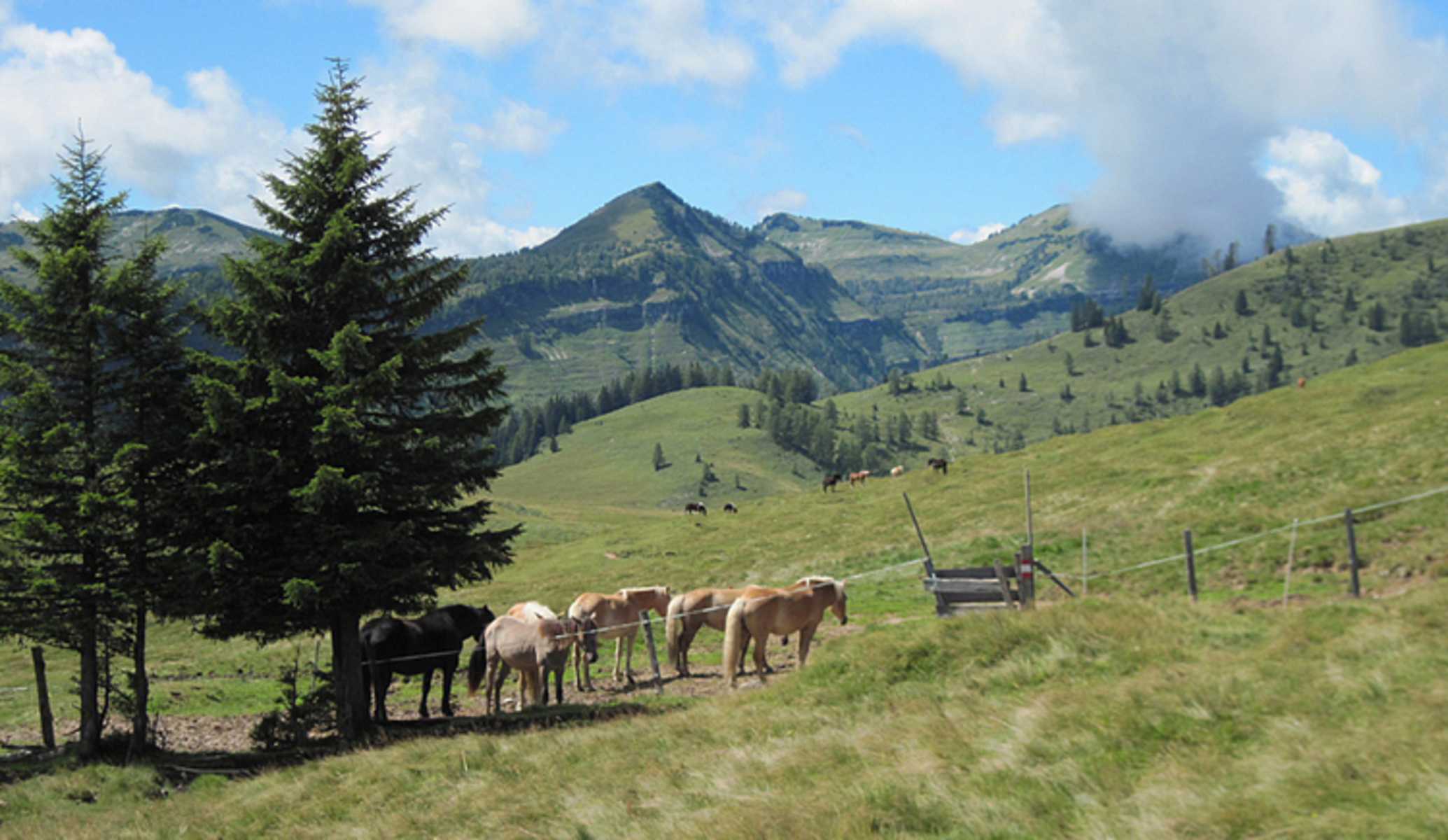 Wandern: BergeSeenTrail - Etappe 8: Postalm - Strobl - 4:00 h - 11 km ...