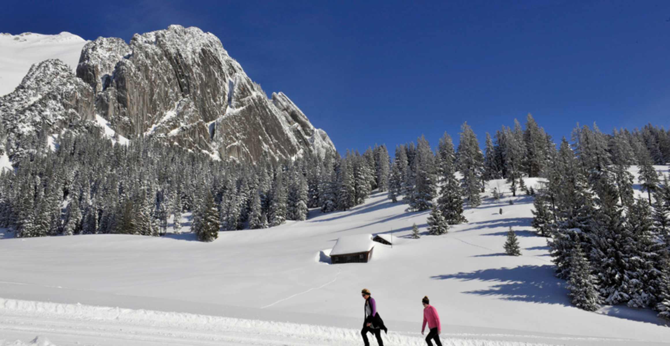 Schneeschuhtouren: Gamplüt - Fros - 2:15 h - 5 km - Bergwelten