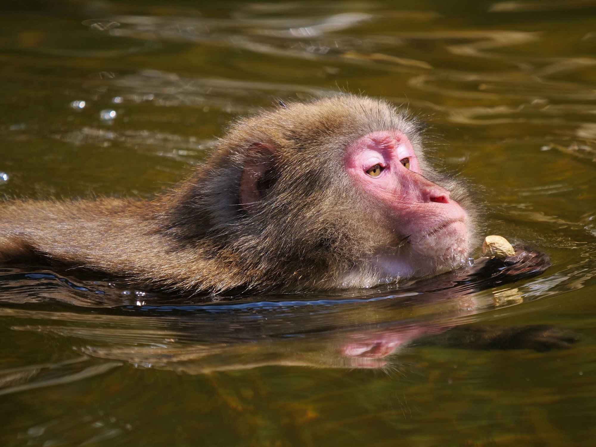 5 spannende Erlebnisse in der Villach Region - Bergwelten